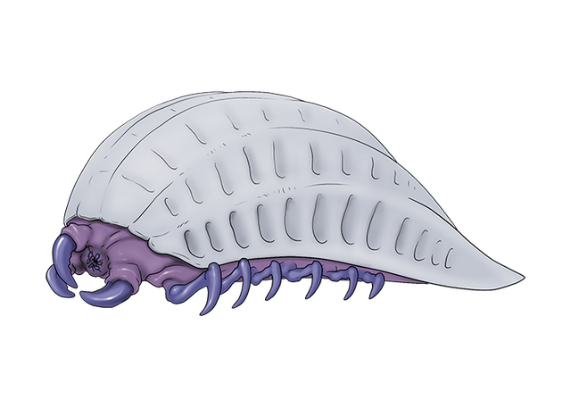 File:Chamberbug.png - Arcanet